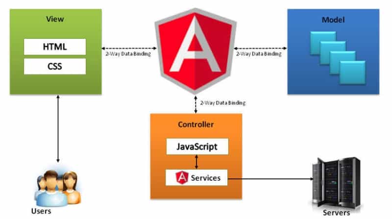 Angular Is The Perfect Framework For Building Dynamic Web Apps WHTL